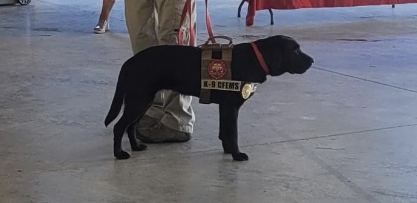 Columbus Fire and EMS introduces Arson Dog for the department – CNAW 2 ...
