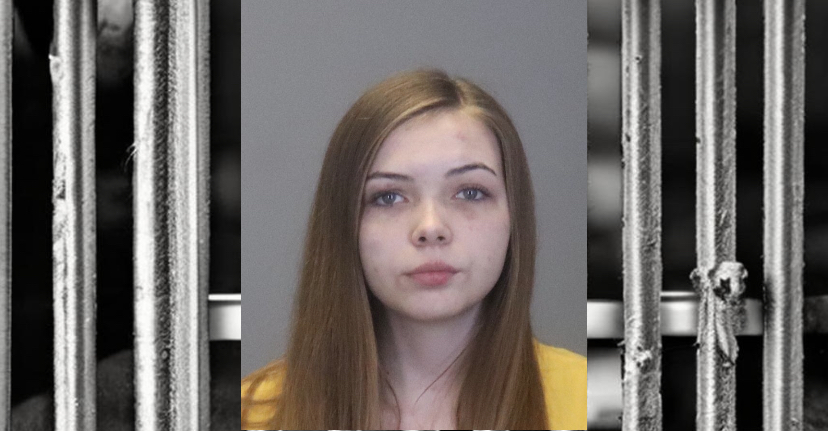 Woman back in jail after making plea deal in 2020 robbery, murder ...