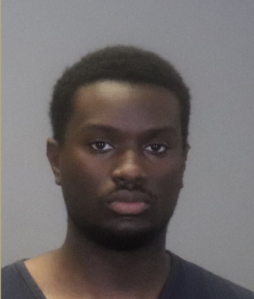 Operation Lights Out: 19 online sexual predators arrested in 4-day ...