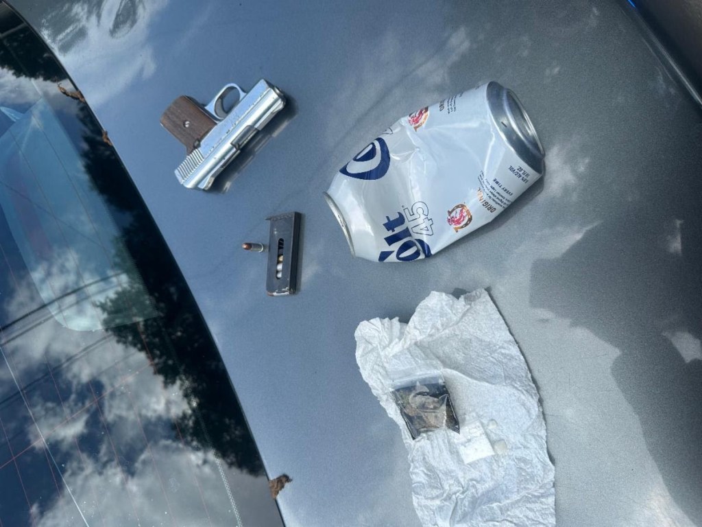 LaGrange police conduct two-day crime suppression detail; results here ...