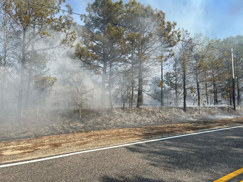 First responders in Lee, Russell counties work several fires Saturday ...